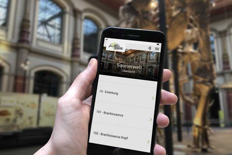Besuch planen | Museum für Naturkunde